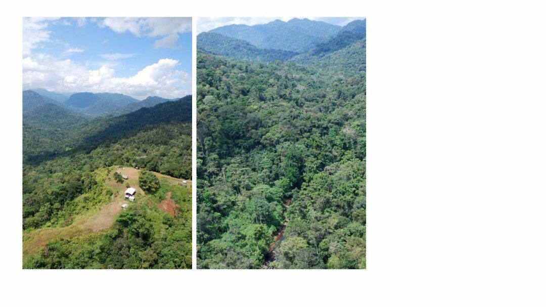 Case for a Visitor's Centre at Owers Corner - Adventure Kokoda Blog